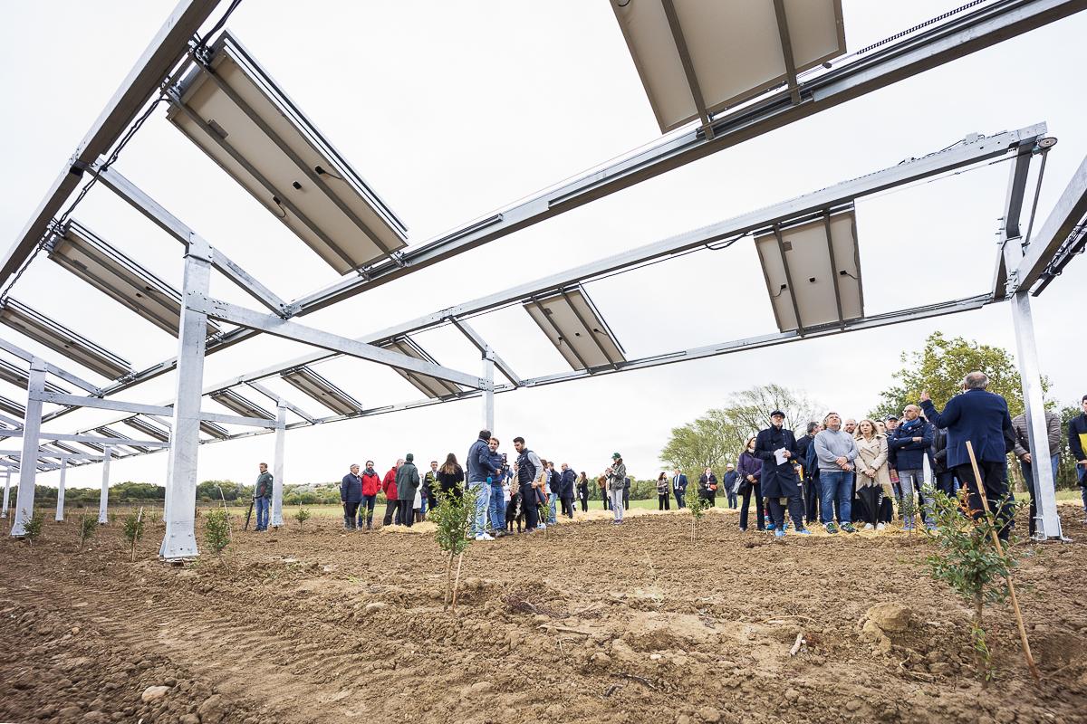 Une première ferme agrivoltaïque dans l'Aude | Aude